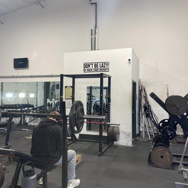 Wasted Paychecks Car Decal Art Bumper Sticker Decor Truck Window ...