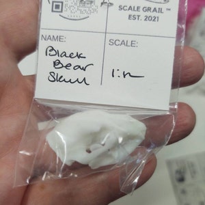 Human Skeleton HO Scale 1:87 Miniature for Horror Diorama, Dollhouse ...