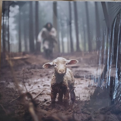 Poster the Good Shepherd With Lamb Dirty Jesus Rescuing the Lamb Wall ...