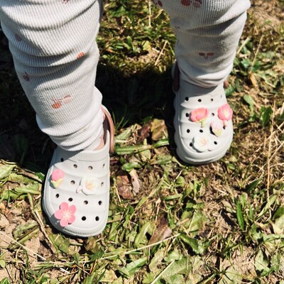 Cute Cartoon Shoe Buckles Set With Chain,crystal Animal Shoe Charms ...