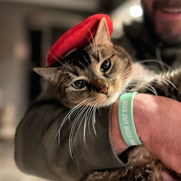 Red Beret Hat for Your Cat-- FREE SHIPPING - Etsy
