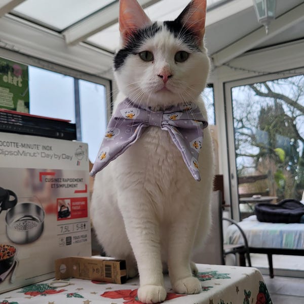 Pizza Pet Bandana, Blue Pet Bandana, Food Cat Bandana, Food Dog Bandana ...