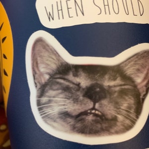 SMILING CAT Sticker, Cool Sticker, Bumper Sticker, Water Bottle Sticker ...