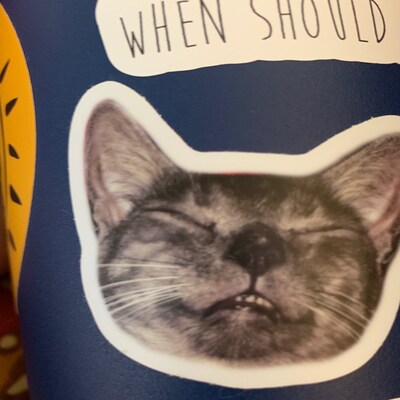 SMILING CAT Sticker, Cool Sticker, Bumper Sticker, Water Bottle Sticker ...