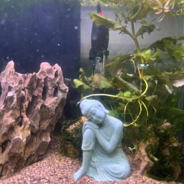 Funny Jade Crystal Healing White Monkey Statue Carving Carved, Crystal ...