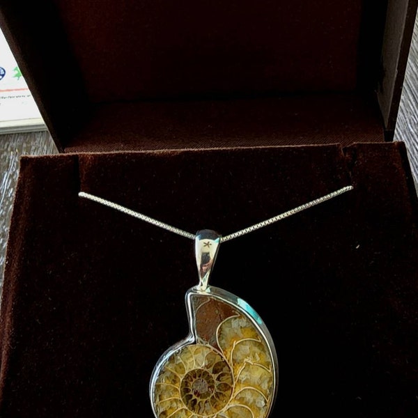 Ammonite Pendant, Ammonite Fossil Shell Sterling Silver Necklace ...