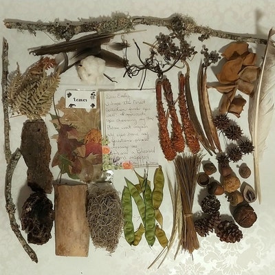 Lg Forest Findings Collection, Dried Botanicals, Forest Decor ...