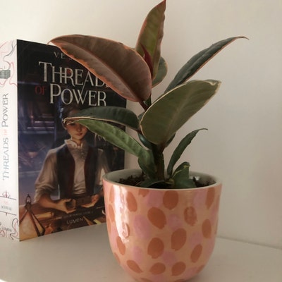 Terracotta Pot Zoi Assorted Plate - Etsy