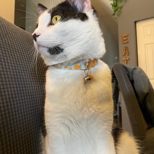 Gold Fish Cat Collar With Bell and Charm, Blue Breakaway Cat Collar ...