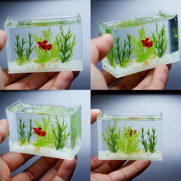Miniature Clay Axolotl in the Tank, Special Price - Etsy