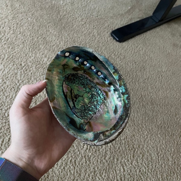 Wholesale Abalone Shells for Smudging, Smudging Bowl to Smudge White ...