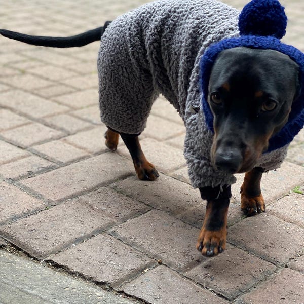 Pet Frog Costume Halloween Costume Frog Sweater and Hat Dachshund Frog ...