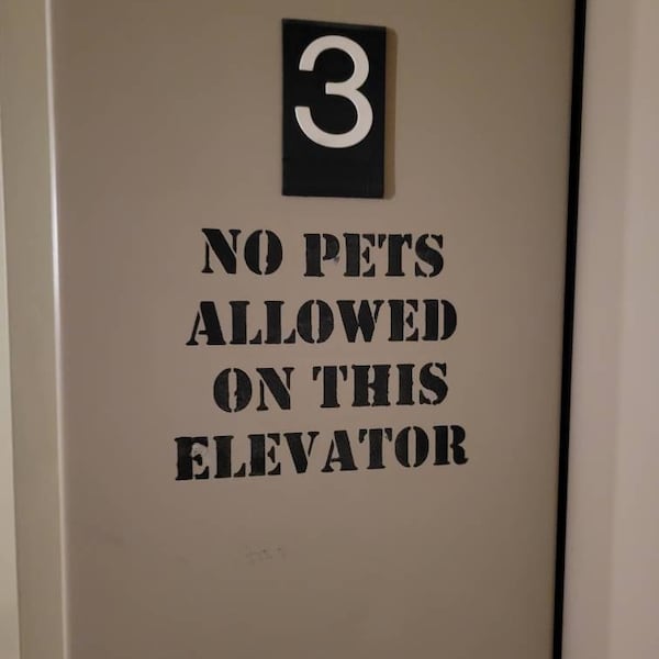 Custom Reusable Stencil Image Custom Image Painting Stencil Etching ...