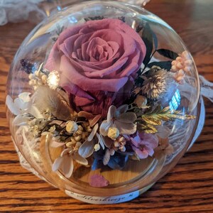 Eternal Rose Glass Dome, Preserved Flower Gift, Gift for Her, Valentine ...