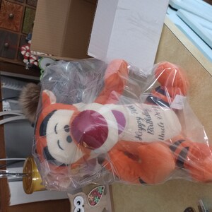 Personalized Disney Simba Plush, Birthday Gift, Birth Announcement ...