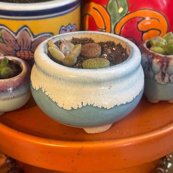 Cute Mini Succulent Planters Handmade Pottery Gift for Mom, Unique ...
