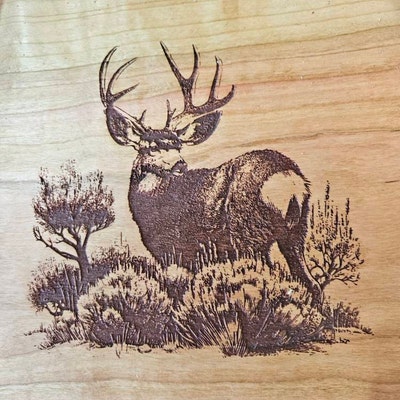 Laser Engrave File, Greek Gods SVG, Zeus, Aphrodite, Poseidon, Athena ...