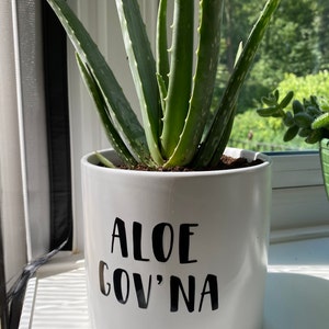 Aloe Govna Funny Plant Pot Plant Pun Plant Holder Funny - Etsy