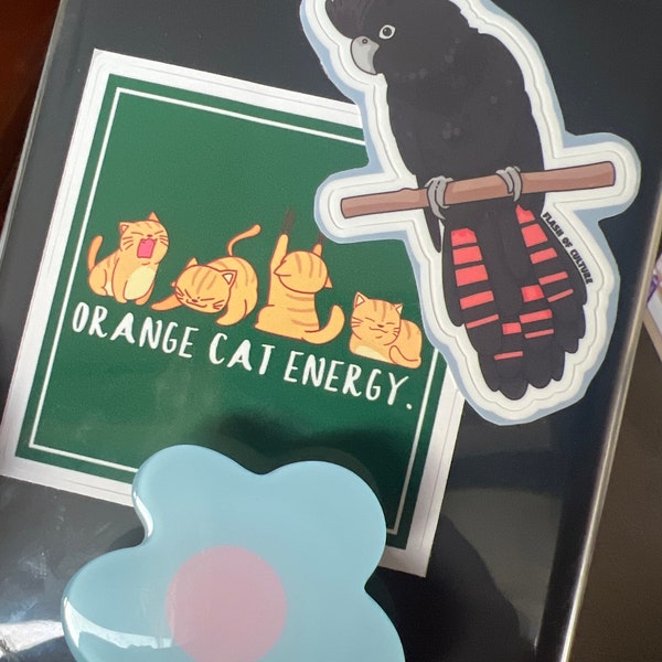 Kiwi Bird Sticker, Kiwiana Sticker, Native Birds From New Zealand, NZ ...