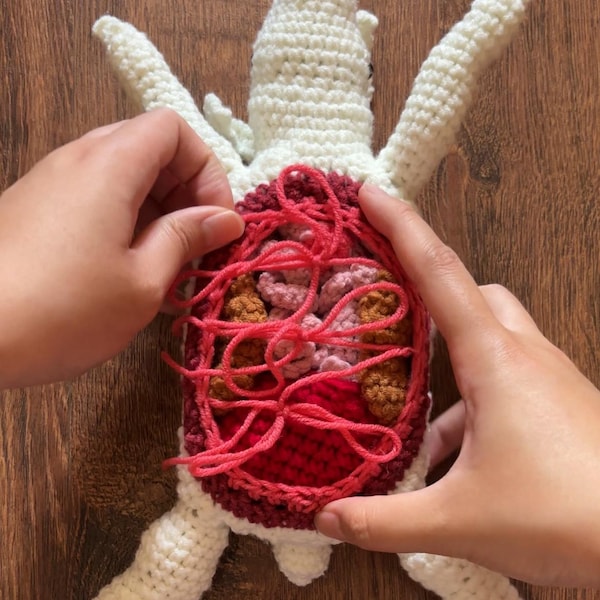 Digital Download Rabbit Dissection Crochet Pattern - Etsy