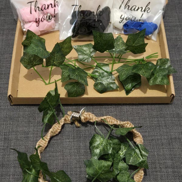 Magnetic Braided Rope With Ivy Jumping Spiders/mantis for Medium ...