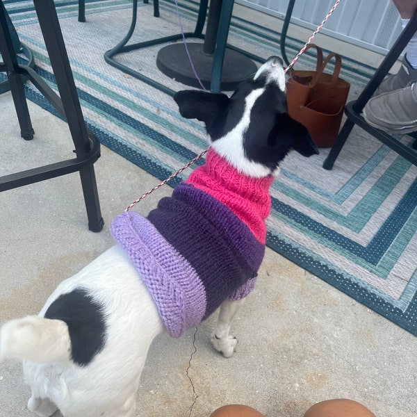 Dog Harness / Dog Collar / Cat Harness / Knitted Harness / Choke Free ...