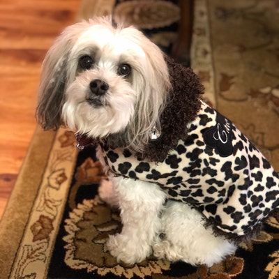 Handmade Luxurious Personalized Bone Fur Coat for Dogs With Tailoring ...