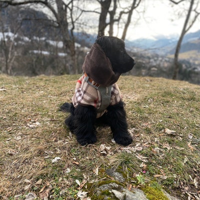 Waterproof Thick Dog Snood , Swimming Cap for Dog , Dog Hat for Snow - Etsy