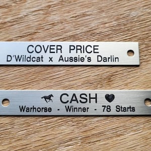 Custom Engraved SILVER Tack, Bridle, Martingale Plate - Etsy