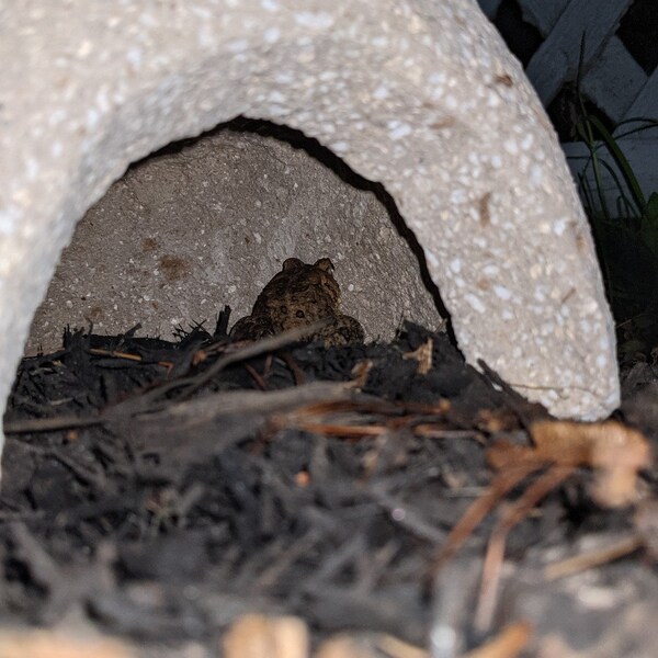 Hypertufa Toad House, Toad Abode, Frog Home, Handmade Outdoor Decor ...