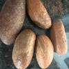 Nuts & Seeds | Bitter Kola | Orogbo | Gooro | Garcinia Kola [ FREE ...