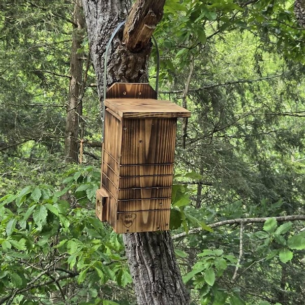 Squirrel Nest Box, Wildlife Rehab Approved Squirrel Nest Box W ...