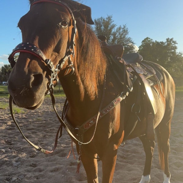 SILVER CROSS COLLECTION - Bridle Charm - Bless This Horse & Rider and ...