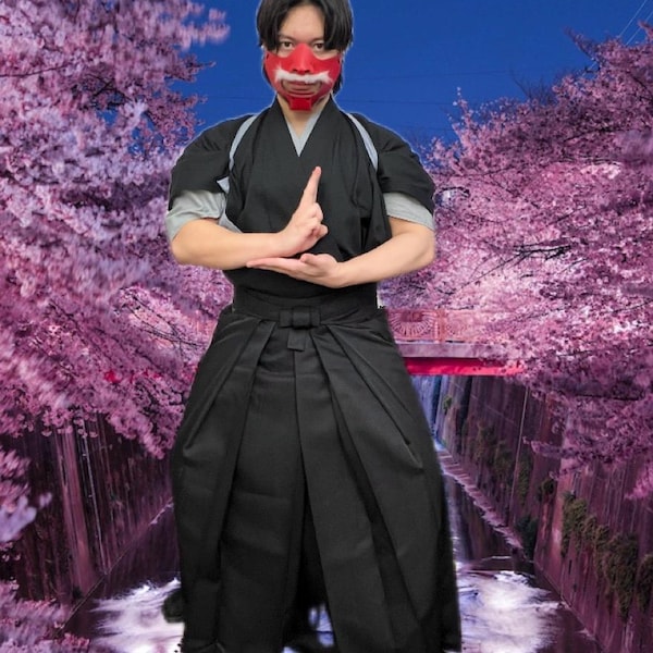 Rank A Silk Summer Houmongi Kimono/single Layer Kimono/ Hitoe Kimono ...