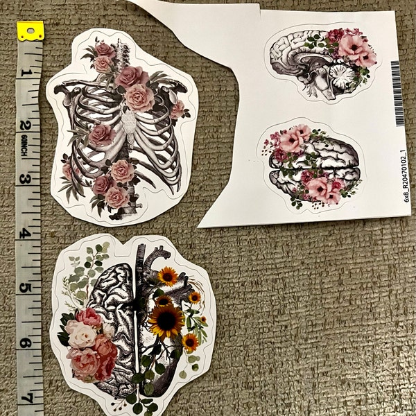 Anatomical Floral Human Heart Sticker,cardiology,vinyl Stickers,science ...