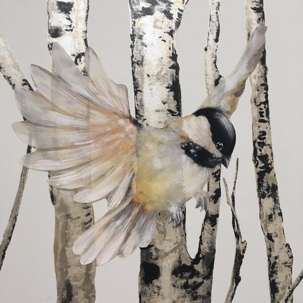 Flying Chickadee, Wall Decal Bird, Black-capped Chickadee, Get Well ...