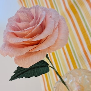 Downloadable Assorted Leaves Template/pdf Printable Download/diy Paper ...