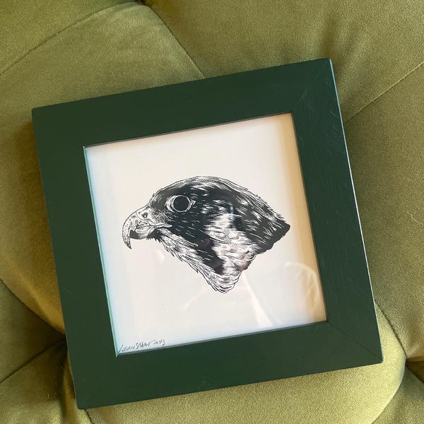 8x10 Custom Cut Single Matboard for 8x10 Frame, Picture Frame Mat ...