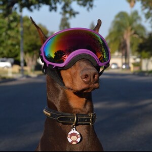 Pet ID Tag Monkey | Etsy