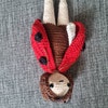 Ladybug Sprite Critter Stitch Crochet Pattern / Amigurumi - Etsy
