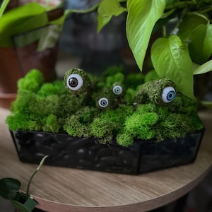 Eye Lichen Labyrinth Themed Gift - Etsy