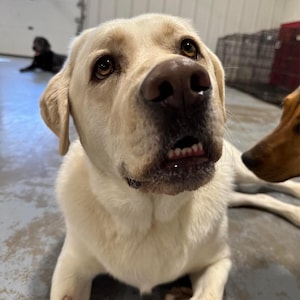 Custom Spoon,personalized Spoon,encouragement Best Friend Gift, Plant ...