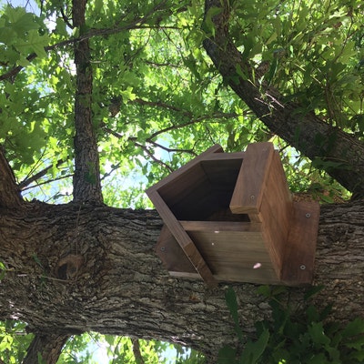 DIY Cardinal Nesting Shelter Bird House Plans - Etsy