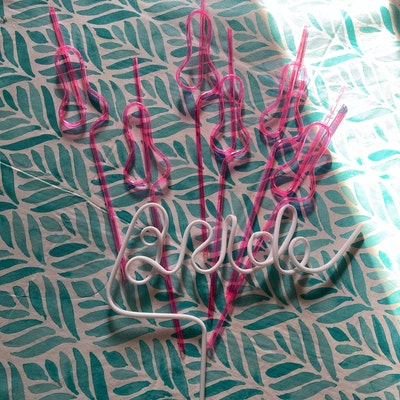 Bridal Wedding Veil Last Rodeo Bachelorette Bridal Shower - Etsy