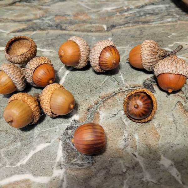 Just Harvested Feed 4lbs Fresh 2024 All Natural Acorns Mix Sizes Black ...