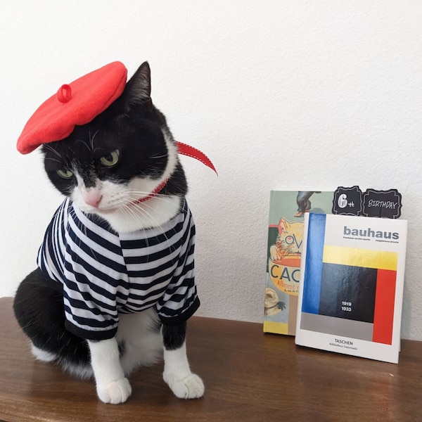 Complete French Cat Outfit- Cat Beret, Ascot and Striped Shirt Pet ...