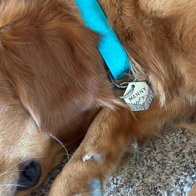 Airplane Dog Tag, Dog Tags for Dogs, Pet Id Tag, Personalized, Custom ...