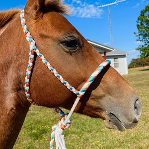 Neon Lime Green Mule Tape Horse Halter With Rope Noseband - Etsy