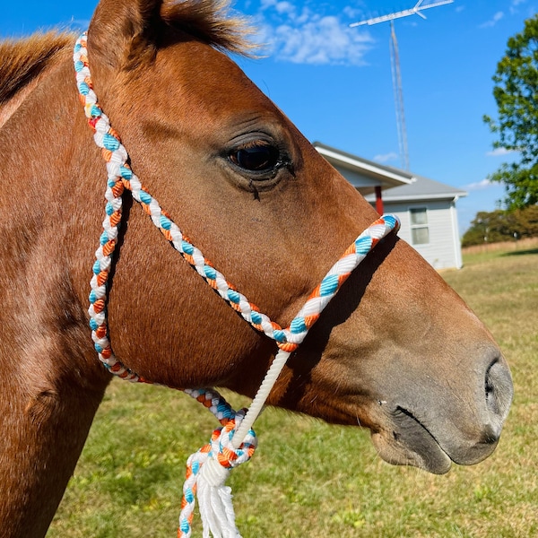 Mule Tape Horse Halter With Rope Noseband - Etsy