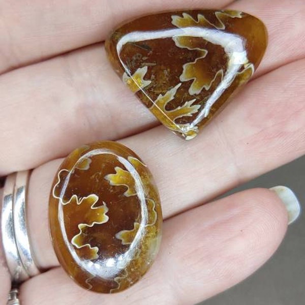 5 Pcs Pack 13x18mm Fancy Shape Step Cut Moss Agate for Making Jewelry ...